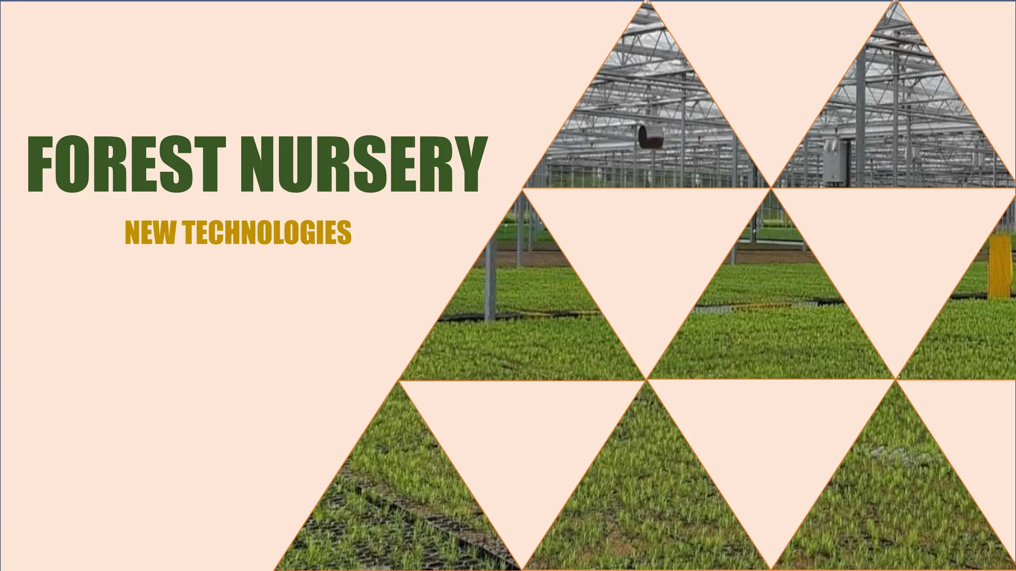 Modern tools and equipments used in Forest Nursery.pptx