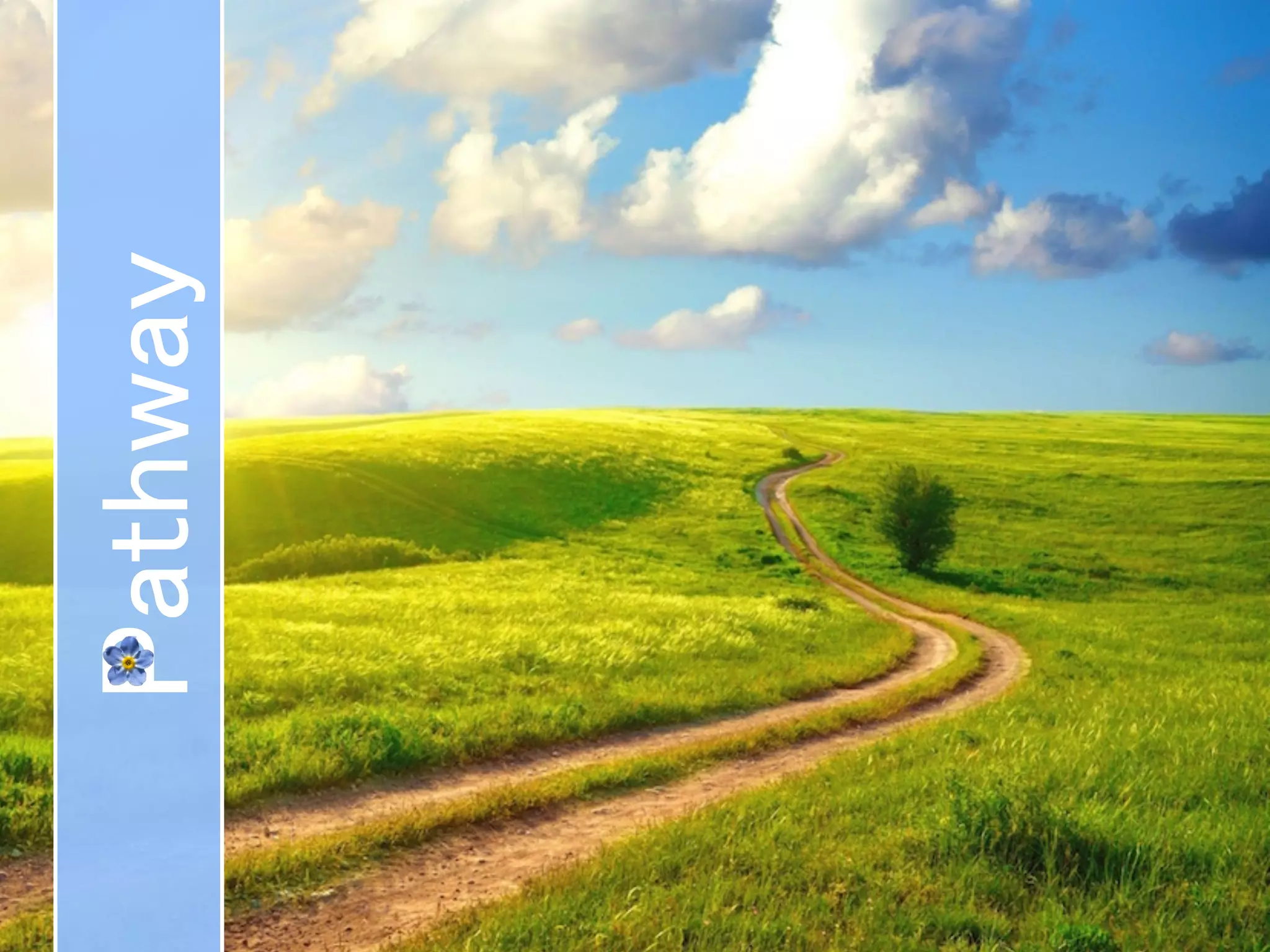 Forget me-not pdf | PDF