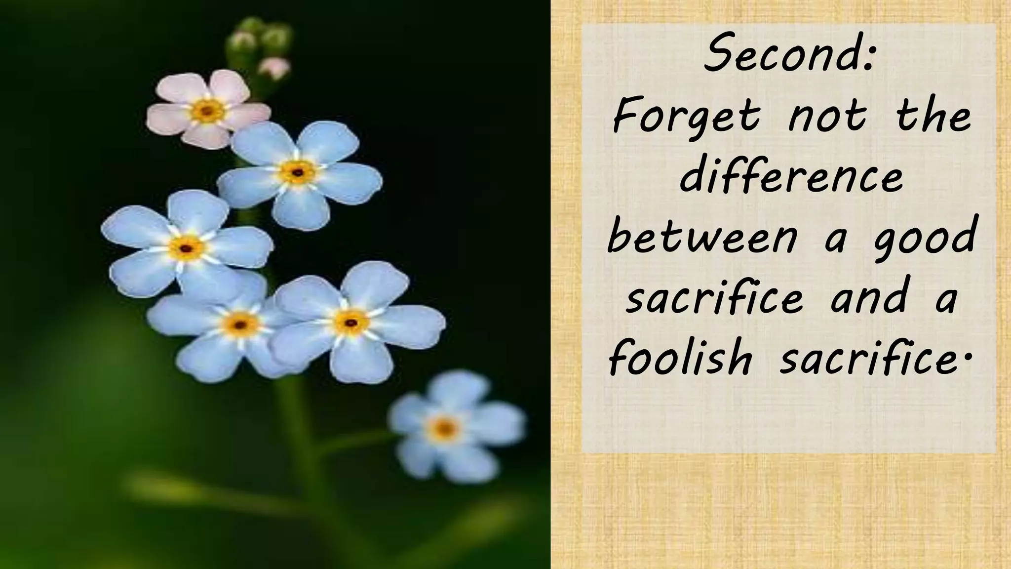 Forget me not slide | PPT