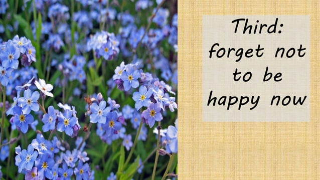 Forget me not slide | PPT