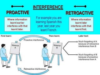 Forgetting- Definition , Types of Forgetting, Theories of Forgetting ...