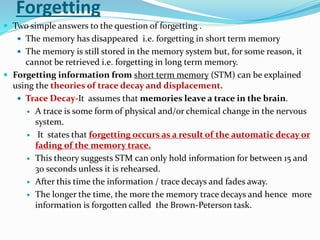 Forgetting | PPT