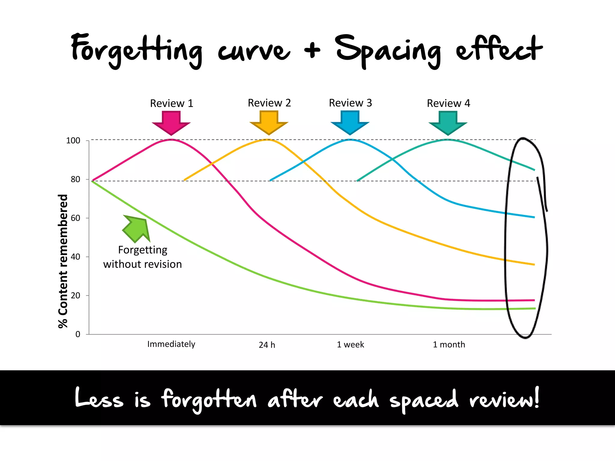 Using spaced review to combat the forgetting curve! | PPTX