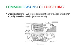 Forgetting — Experiments S2 - memory psych | PPTX