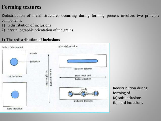 Forging | PPTX | Physics | Science