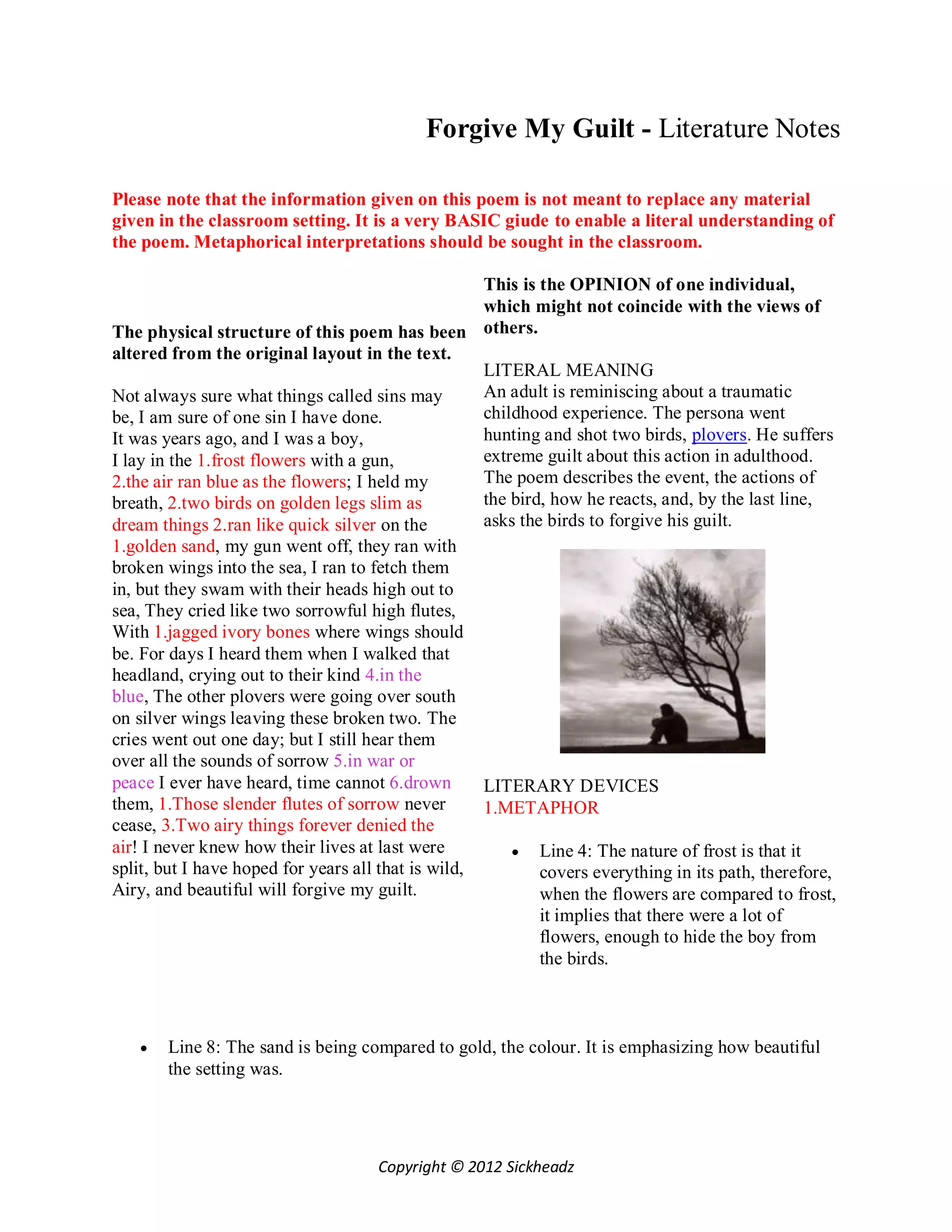 Forgive my guilt | PDF | Birdwatching | Hobbies & Interests