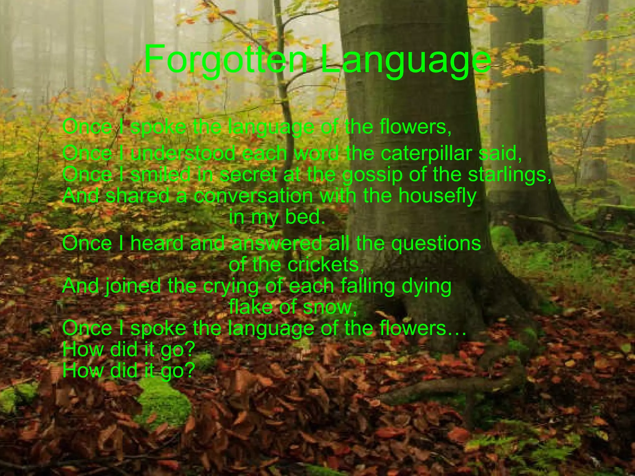 Forgotten Language Shel Silverstein | PPT