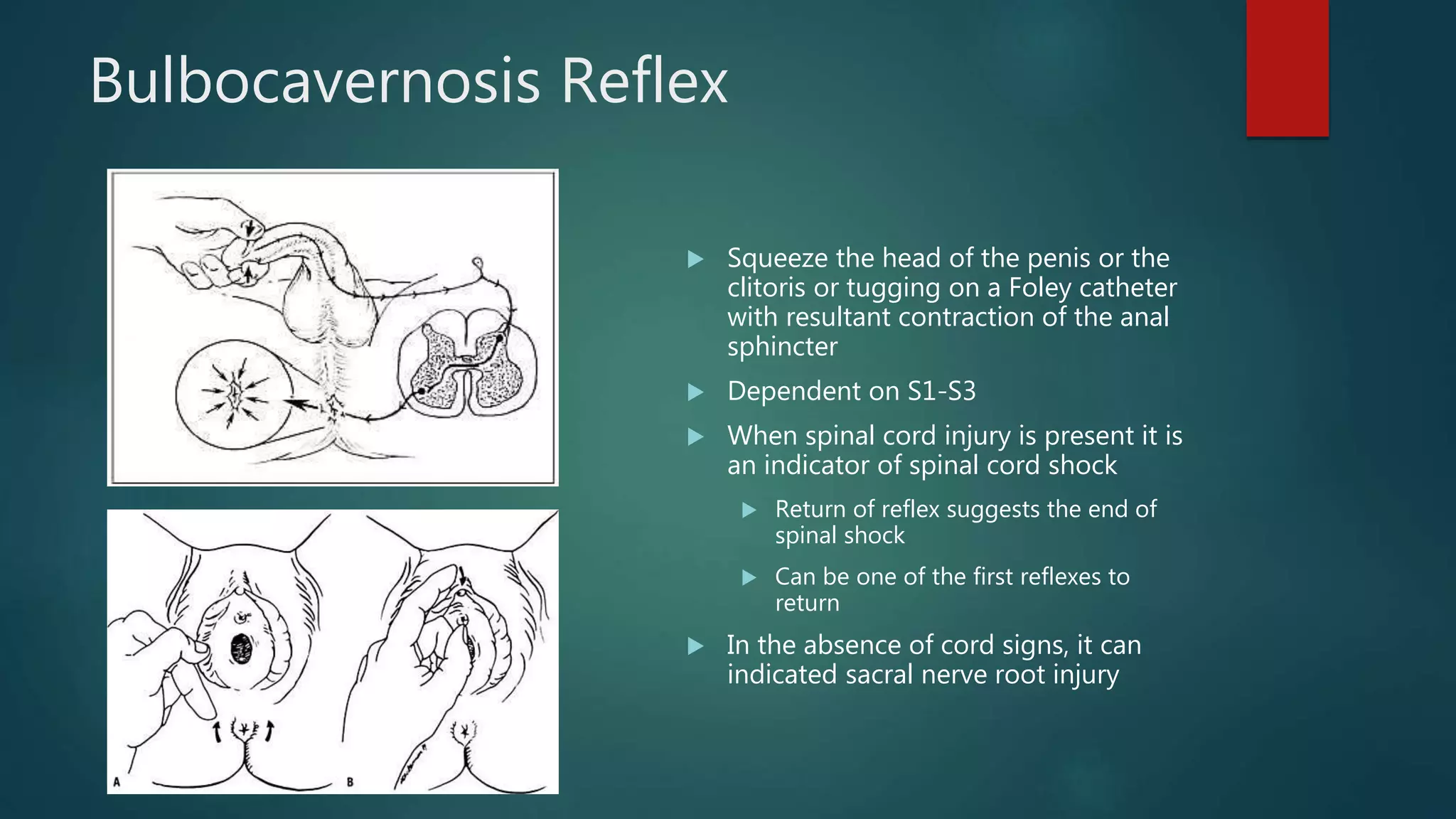 Forgotten reflex testing | PPTX