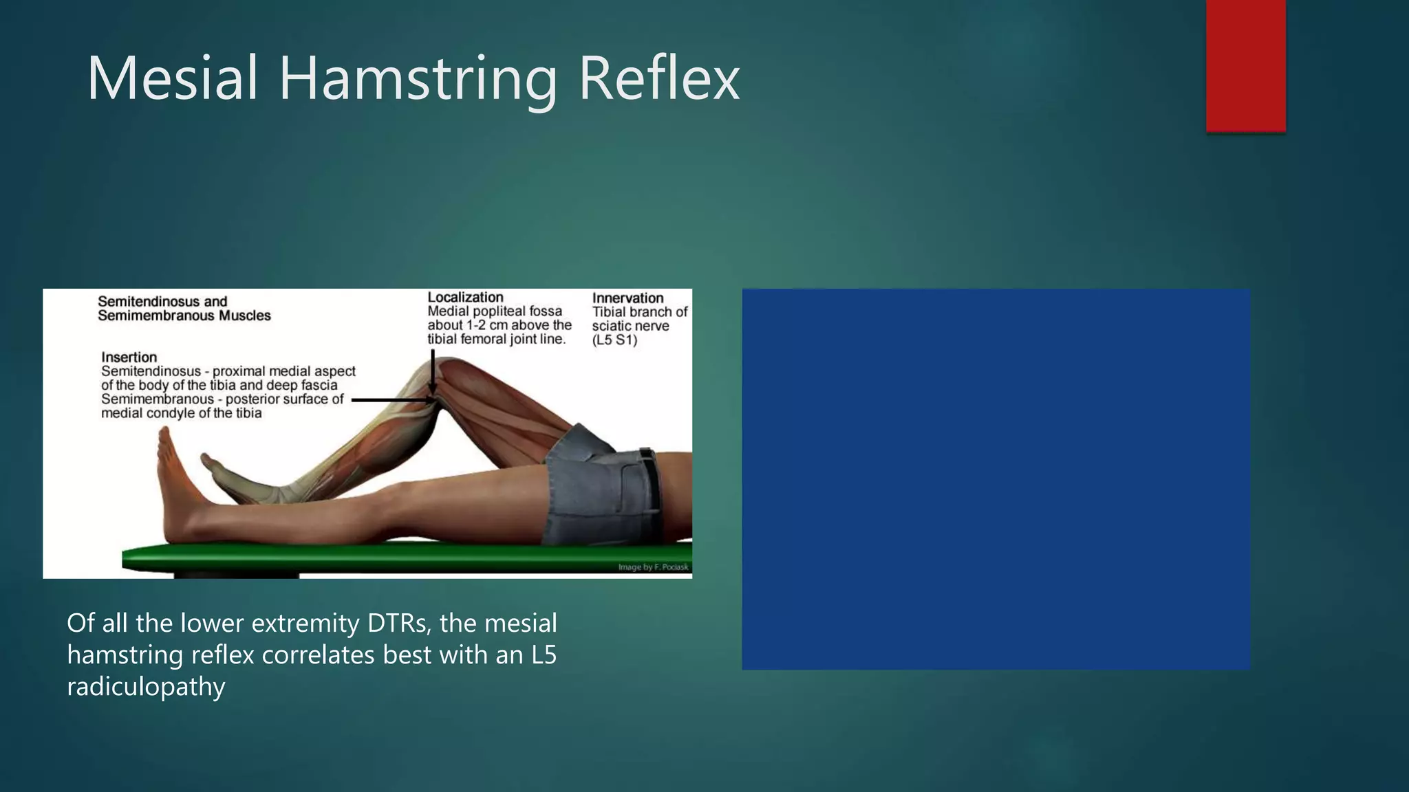 Forgotten reflex testing | PPTX