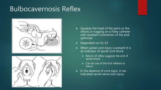 Forgotten reflex testing | PPTX