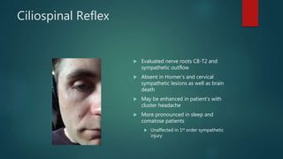 Forgotten reflex testing | PPTX