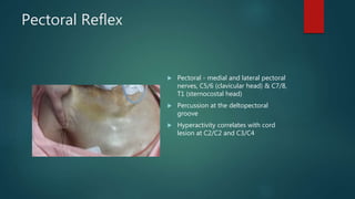 Forgotten reflex testing | PPTX