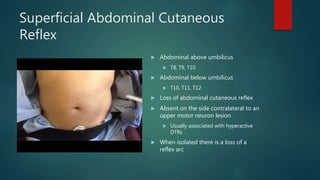 Forgotten reflex testing | PPT