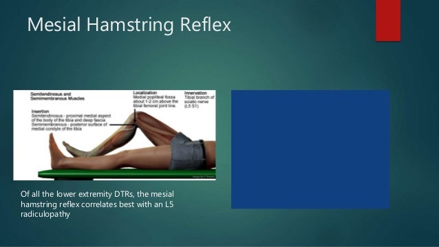 Forgotten reflex testing