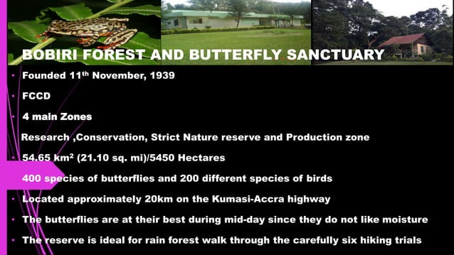 FORIG PRESENTATION 1 BY Divine.pptx CSIR GHANA | PPT