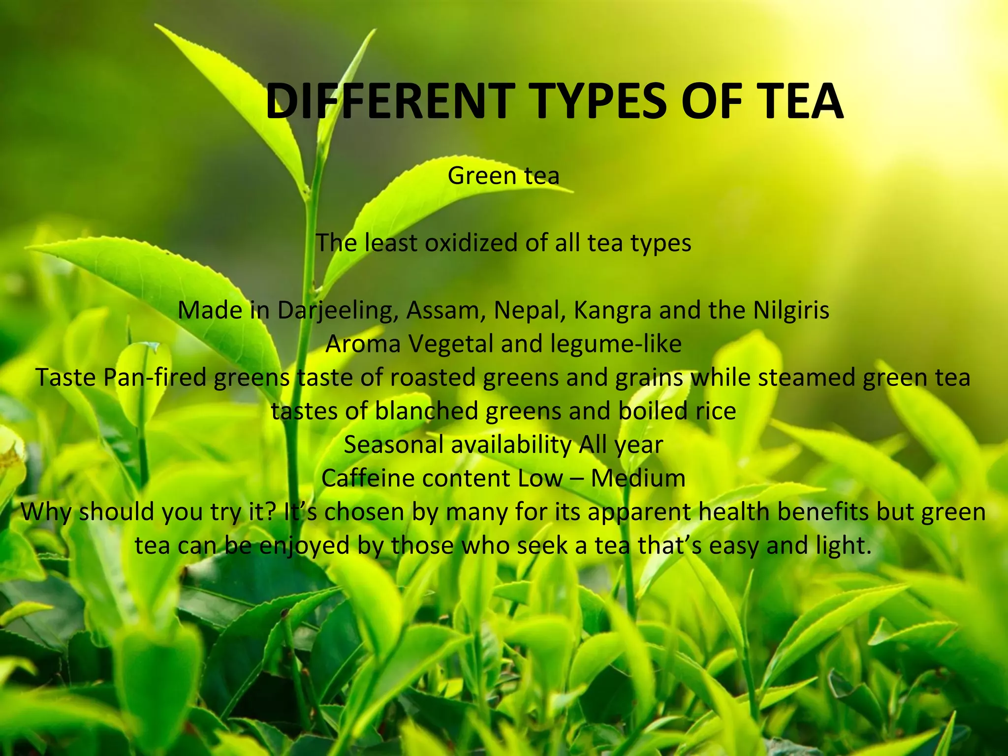 Basics of Tea | PPT