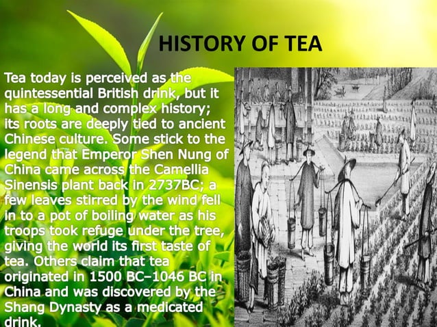 Basics of Tea | PPT | Food & Drink