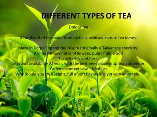 Basics of Tea | PPT