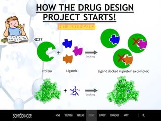 DRUG DESIGN AND DEVELOPMENT | PPTX