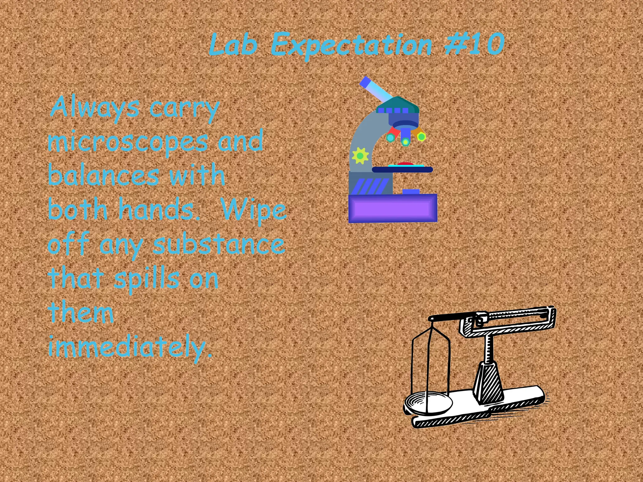 FORM-1-1-LAB-AND-SAFETY/ HAZARDS, SAFETY EQUIPMENT AND PRECAUTIONS.pptx ...