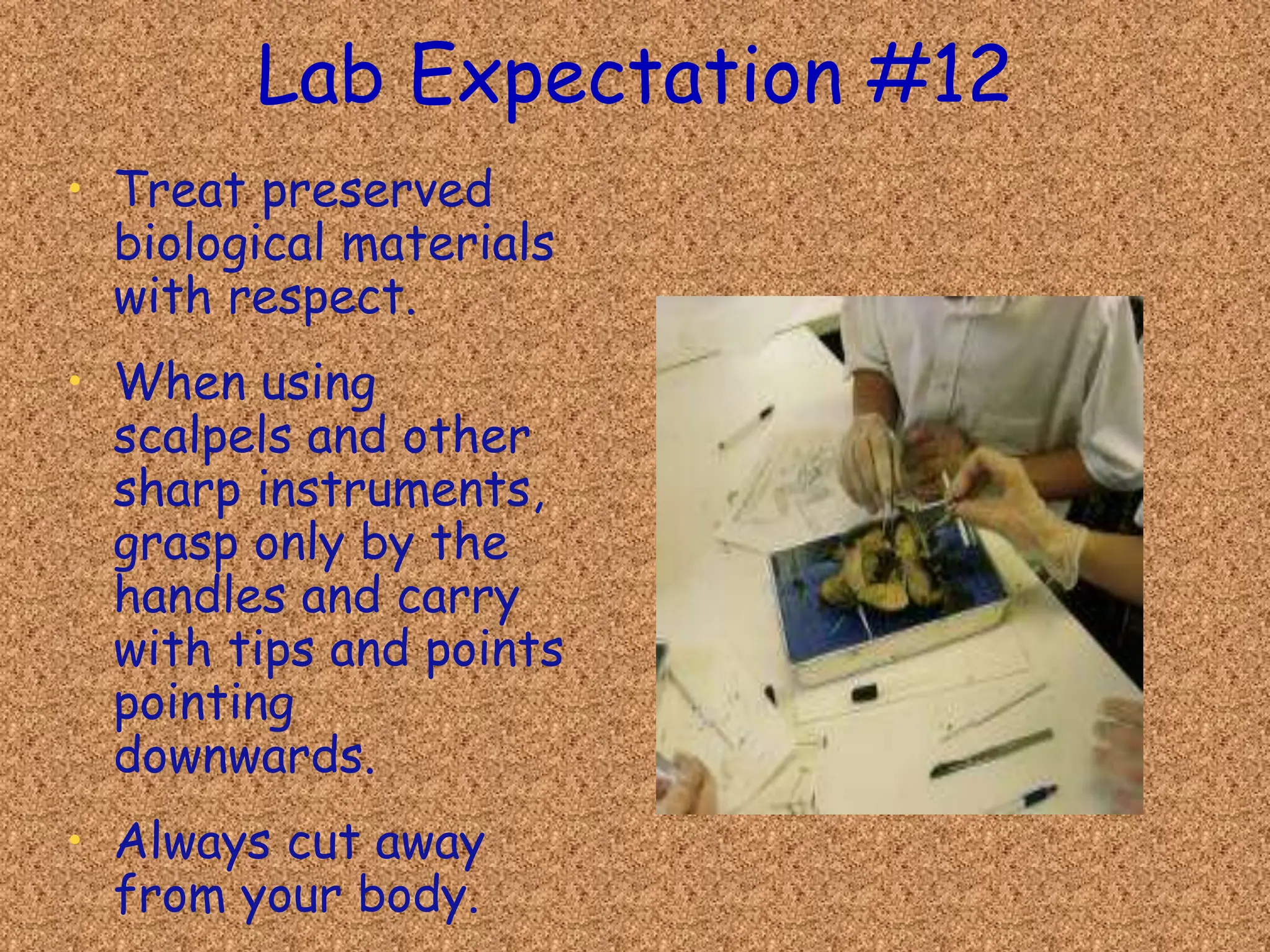FORM-1-1-LAB-AND-SAFETY/ HAZARDS, SAFETY EQUIPMENT AND PRECAUTIONS.pptx