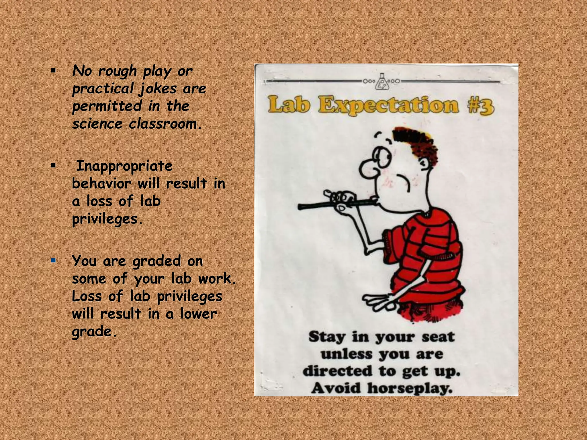 FORM-1-1-LAB-AND-SAFETY/ HAZARDS, SAFETY EQUIPMENT AND PRECAUTIONS.pptx