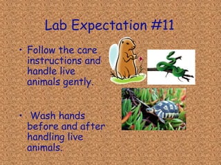 FORM-1-1-LAB-AND-SAFETY/ HAZARDS, SAFETY EQUIPMENT AND PRECAUTIONS.pptx