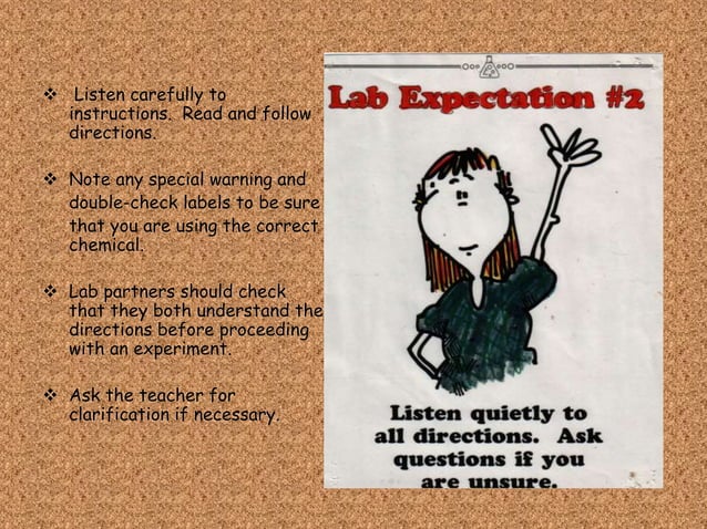 FORM-1-1-LAB-AND-SAFETY/ HAZARDS, SAFETY EQUIPMENT AND PRECAUTIONS.pptx ...