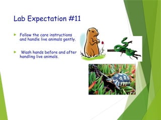 FORM-1-1-LAB-AND-SAFETY...............pptx