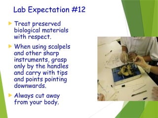 FORM-1-1-LAB-AND-SAFETY...............pptx