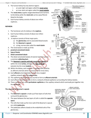 Form 5 biology notes chapter 3 - Coordination | PDF