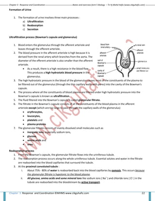Form 5 biology notes chapter 3 - Coordination | PDF
