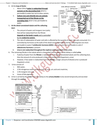 Form 5 biology notes chapter 3 - Coordination | PDF