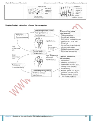Form 5 biology notes chapter 3 - Coordination | PDF