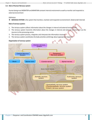 Form 5 biology notes chapter 3 - Coordination | PDF