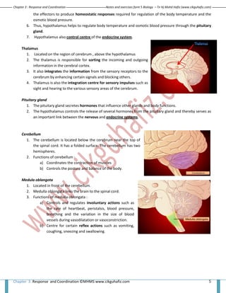 Form 5 biology notes chapter 3 - Coordination | PDF