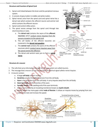 Form 5 biology notes chapter 3 - Coordination | PDF