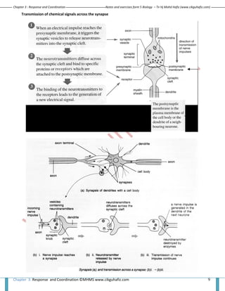 Form 5 biology notes chapter 3 - Coordination | PDF