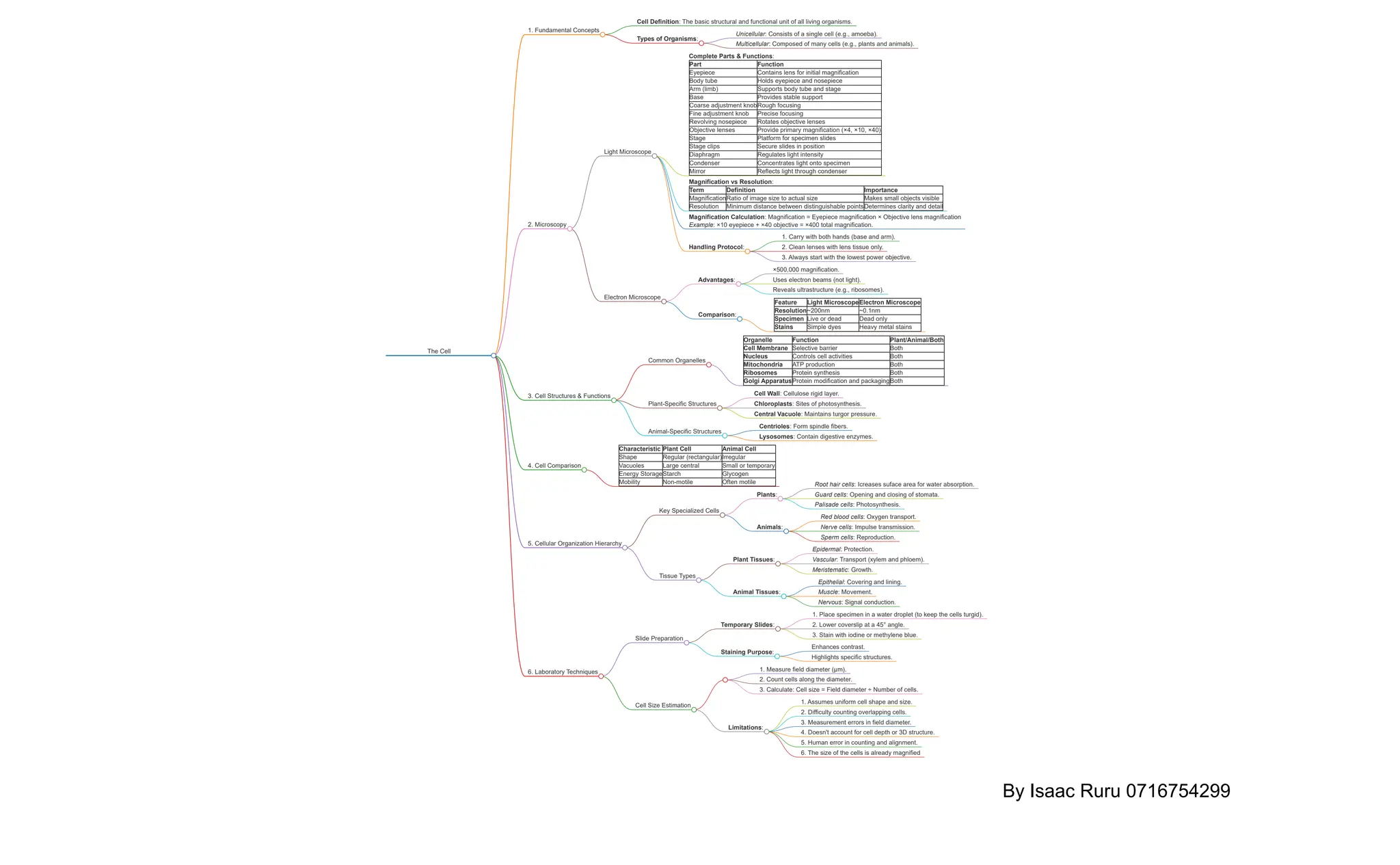 FORM 1 BIOLOGY MIND MAPS and their schemes | PDF