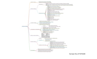 FORM 1 BIOLOGY MIND MAPS and their schemes | PDF
