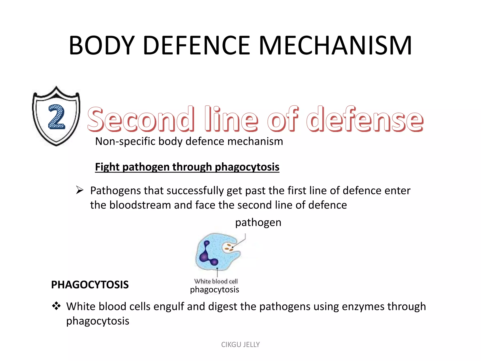 4.2 BODY DEFENSE | PPTX