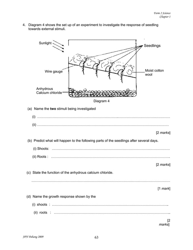 Form 2 chapter 1 | DOC | Eye and Vision Conditions | Diseases and ...