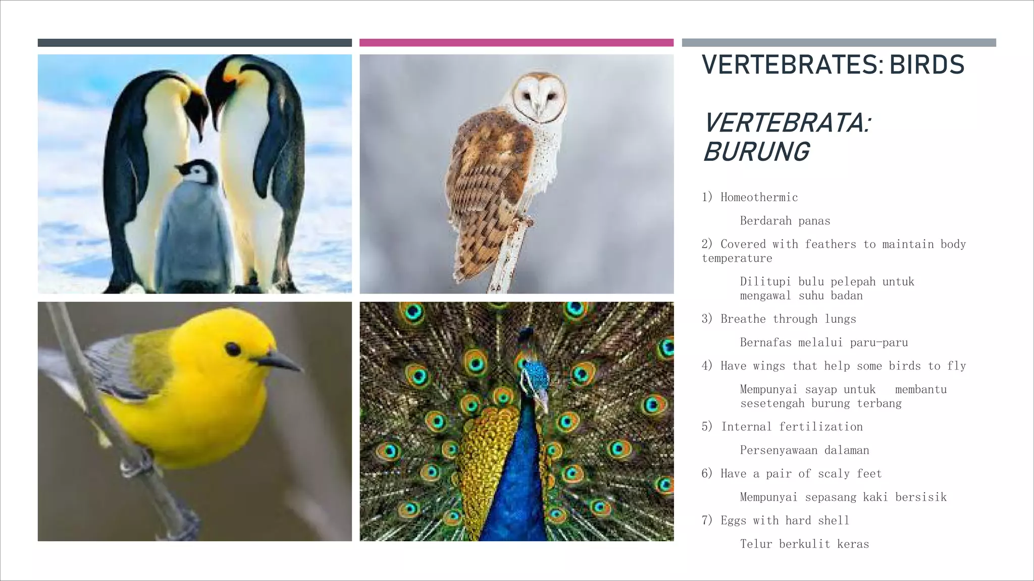 Form 2 DLP Chapter 1 Biodiversity | PDF