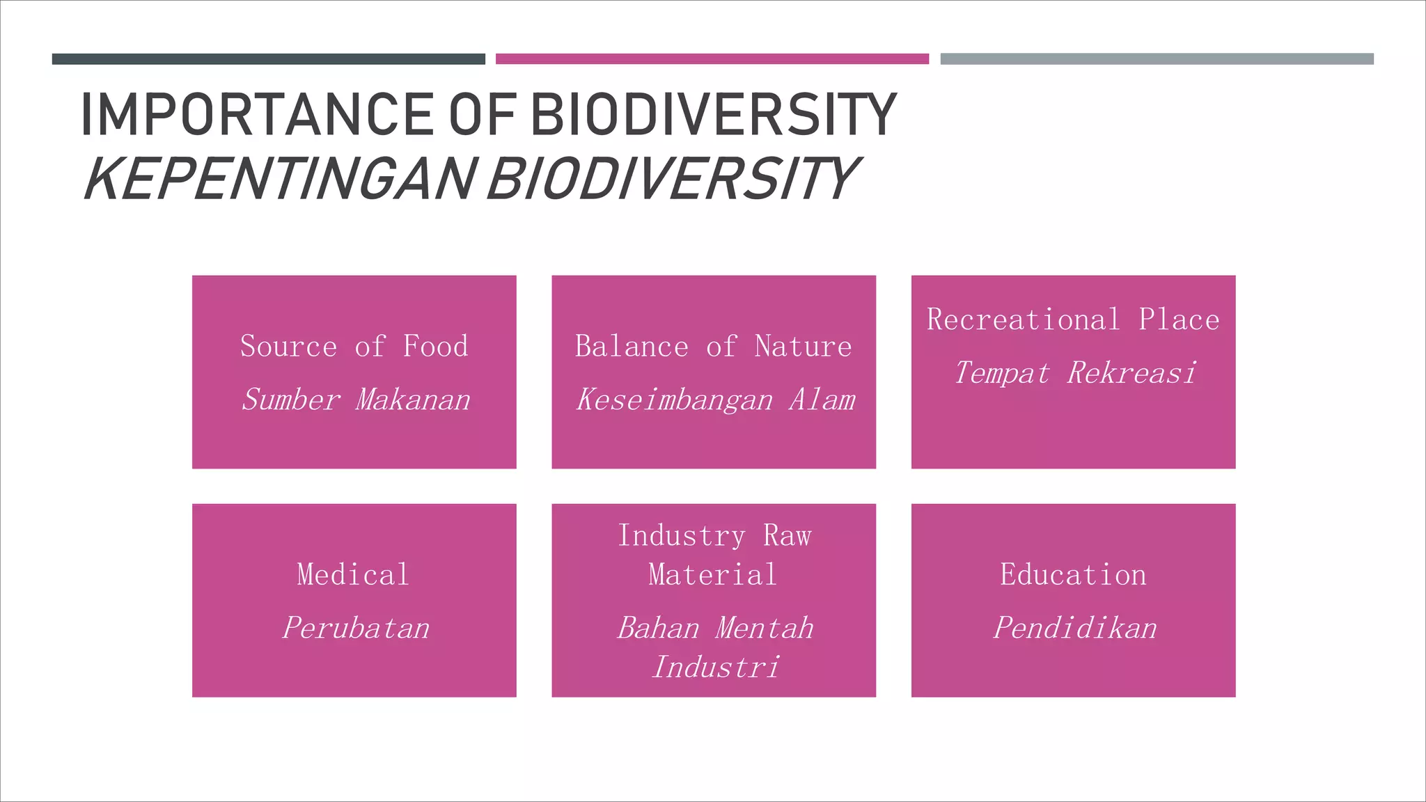 Form 2 DLP Chapter 1 Biodiversity | PDF