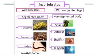 Form 2 DLP Chapter 1 Biodiversity | PDF