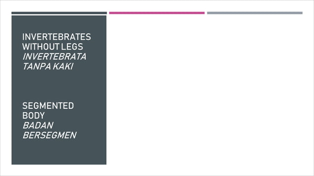 Form 2 DLP Chapter 1 Biodiversity | PDF