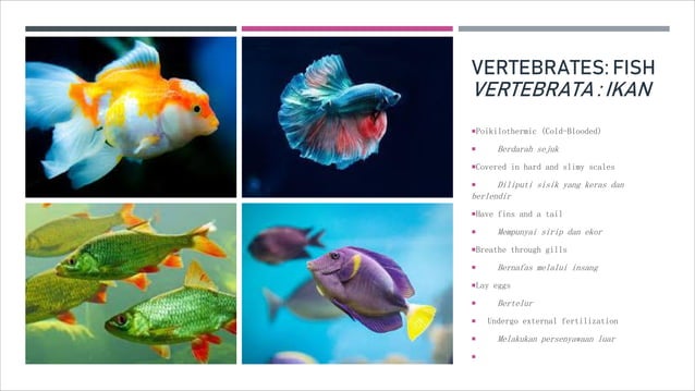 Form 2 DLP Chapter 1 Biodiversity | PDF