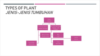 Form 2 DLP Chapter 1 Biodiversity | PDF