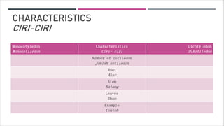 Form 2 DLP Chapter 1 Biodiversity | PDF