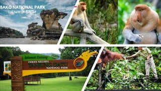 Form 2 DLP Chapter 1 Biodiversity | PDF